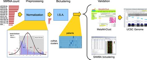The Proposed Pipeline Starting From MiRNA Count We Apply A
