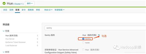 sentry权限管理设置实例 sentry默认 用户密码 csdn博客