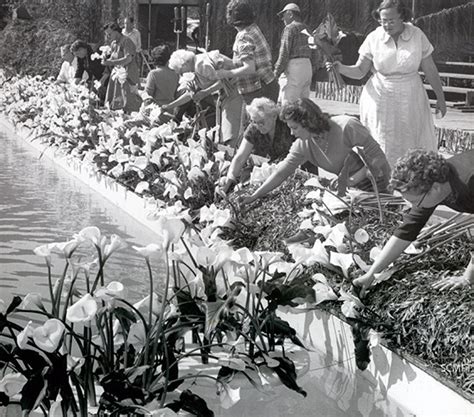 Historic Hollywood Photographs