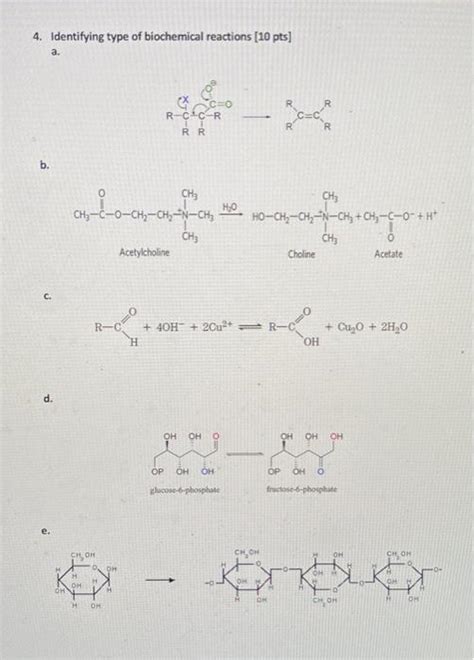 Solved 4 Identifying Type Of Biochemical Reactions 10 Pts Chegg Com