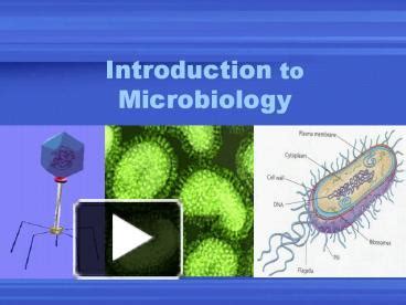 Introduction To Microbiology Presentation Free To View