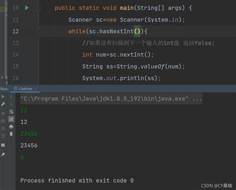 Java——不同数据类型的输入输出方式与转化方式java 输入种类 Csdn博客