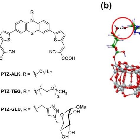 A Structures Of Phenothiazine Based Photosensitizers And Glua