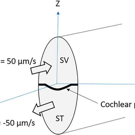Diagram For Fluid Velocity Input In Transient Simulation Fluid Is Download Scientific Diagram