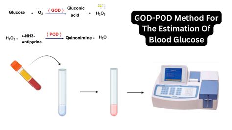 Oxidase Test Definition Principle Procedure Result Application
