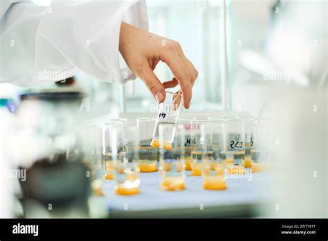 Labratory Scientist Extracting Dna And Biological Material For Testing From Test Tube On His