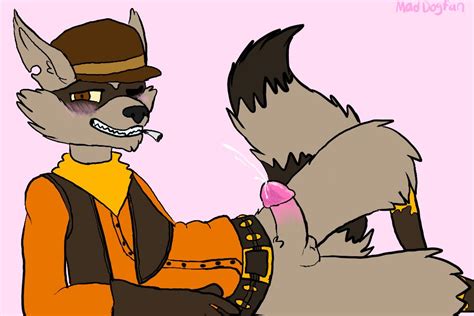 Rule 34 Furry Furry Only Male Male Only Sly Cooper Series Smooth Fur Solo Tagme Tennessee