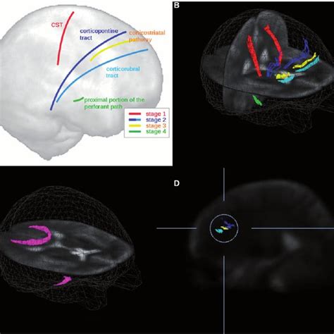 A Schematic Representation Of The Pathways Analysed B Download Scientific Diagram