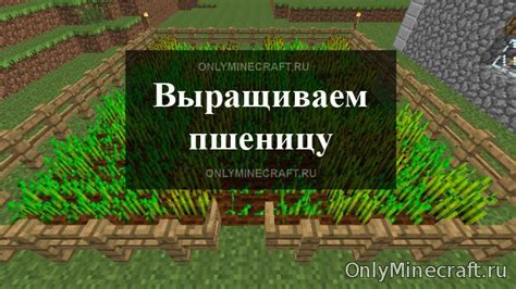 Справочные статьи про Майнкрафт