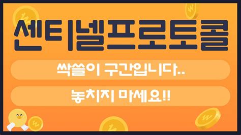 센티넬프로토콜 싹쓸이 구간입니다 놓치지 마세요 Youtube