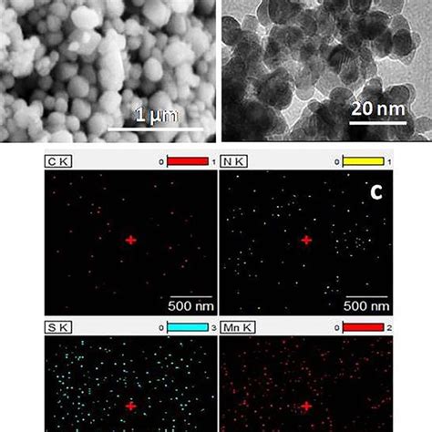 A Sem B Hrtem Images And C Eds Mapping Of G Cn Doped Mns Material Download Scientific Diagram
