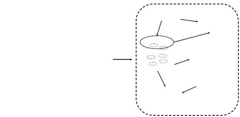 Course Review