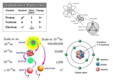 Subatomic Particles Diagram