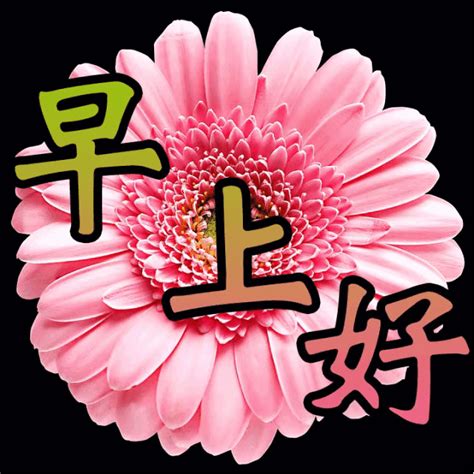 星期六早晨好問候動態表情圖片 特別漂亮的早晨好動態圖片表情 每日頭條