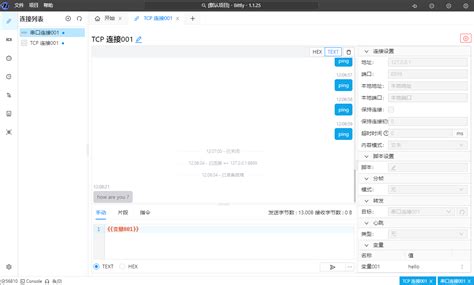 Bittly 通讯连接 Tcp 使用手册 Bittly