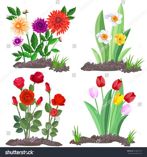 화단에서 자라는 정원 꽃 세트 꽃들은 스톡 벡터 로열티 프리 412887127 Shutterstock