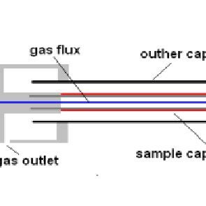 Scheme Of The Capillary Setup With Gas Flux Download Scientific Diagram