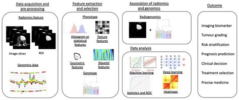 Application Of Artificial Intelligence Methods For Imaging Of Spinal Metastasis
