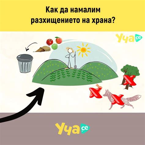 Как да намалим разхищението на храна 16 октомври е Световен ден на храната 🍽 Имаш ли