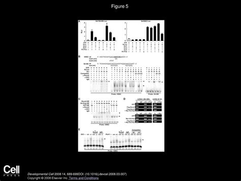 volume 14 issue 5 pages may 2008 ppt download