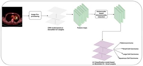 lung cancer detection model using deep learning technique
