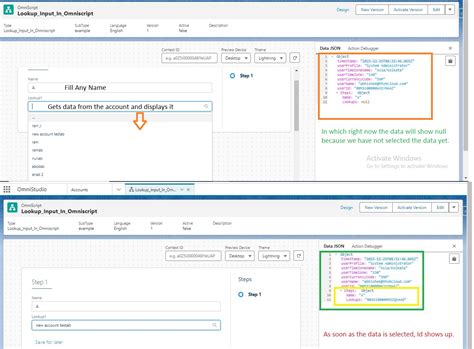 how to use lookup input in omniscript 9to9clouds