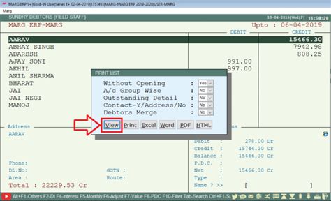 How To View All Debtor Ledger In Marg Software