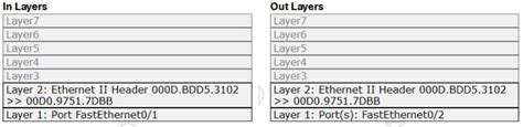 Network Ping Command Explained Command Network Bachelor