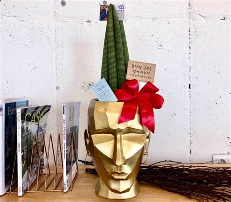 울산꽃집추천 울산에도 화분 꽃다발 개업 예쁜화분들이 많은 울산 꽃집 추천은 여기 그래도 이뻐” 네이버 블로그