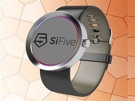 High Performance Risc V Processors Upgrade Wearable Consumer P