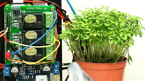Raspberry Pi Plant Watering Franks World Of Data Science And Ai