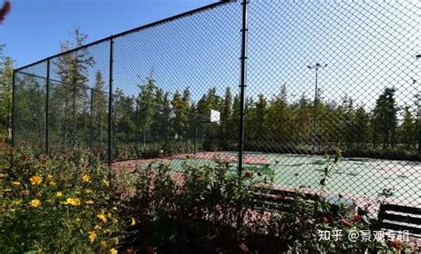 北京市首个碳中和主题公园 温榆河公园未来智谷 知乎