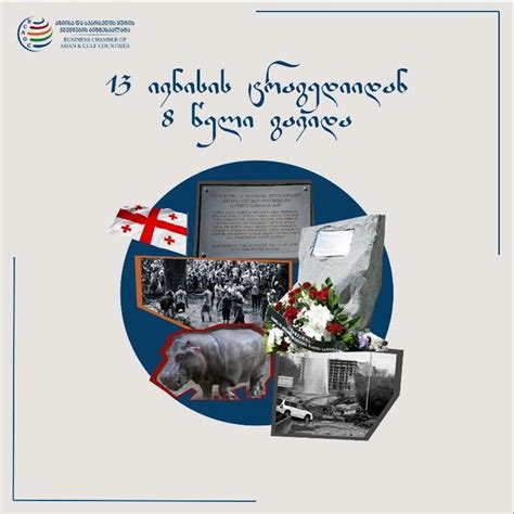 Business Chamber Of Asian And Gulf Countries Bcagc On Linkedin For English Scroll Down 13 ივნისის