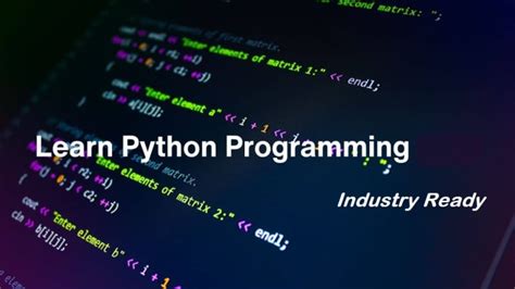 Be Your Python Programming Tutor From Beginner To Expert By Numan101 Fiverr