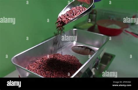 Grinding Process Cocoa Nibs Are Ground Into Cocoa Mass Unsweetened Chocolate Stock Video