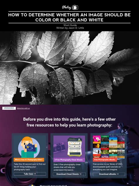 Color Vs Black And White Pdf Image Photograph
