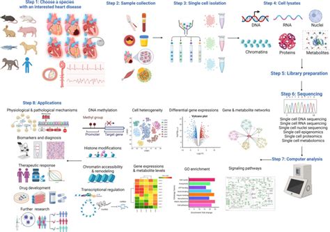 Application Of Single Cell Genomics In Cardiovascular Research Abstract Europe Pmc