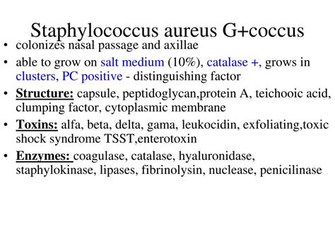 Ppt Classification Nomenclature Taxonomy Identification Powerpoint