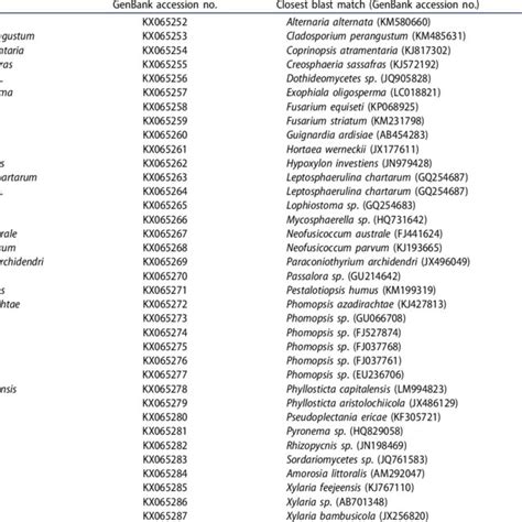 Molecular Identification Of Isolated Endophytic Fungi Based On Its Download Table