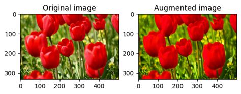 数据增强 Tensorflow Core