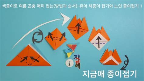 75 색종이로 여름 곤충 매미 접는방법과 순서 유아 색종이 접기와 노인 종이접기