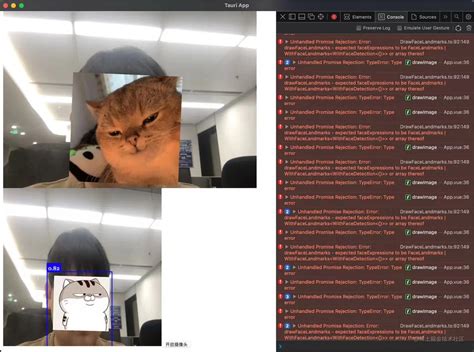 Webrtc 实现人脸识别开启掘金成长之旅！这是我参与「掘金日新计划 · 12 月更文挑战」的第4天，点击查看活动详情 掘金