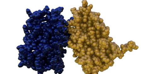 Intelligent Algorithm Based Maximum Powerpoint Tracker For An Off Grid