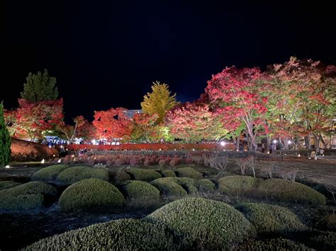 始まったよ富士河口湖紅葉祭り fujisanbike 河口湖