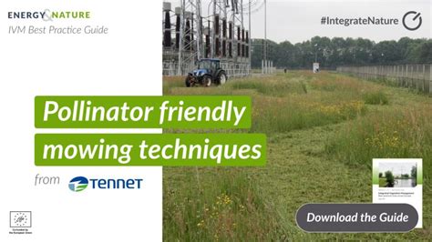 Integratenature Renewables Grid Initiative