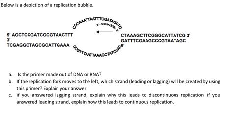 Solved Below Is A Depiction Of A Replication Bubble A ﻿is