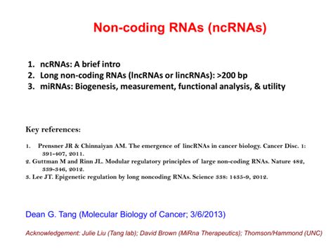 Non Coding Rnas Ncrnas