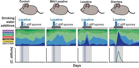 Datamining Reveals How Clostridium Difficile Colonizes Our Gut Research Communities By
