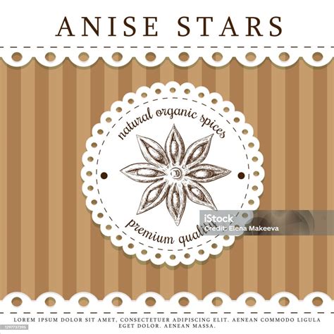 아니스 별 포장 디자인 손으로 그린 아니씨 라벨 배너 스티커 또는 로고 레이아웃 템플릿입니다 아로마 향신료의 스케치 그림 음료 아로마테라피 또는 화장품의 포장 설계에