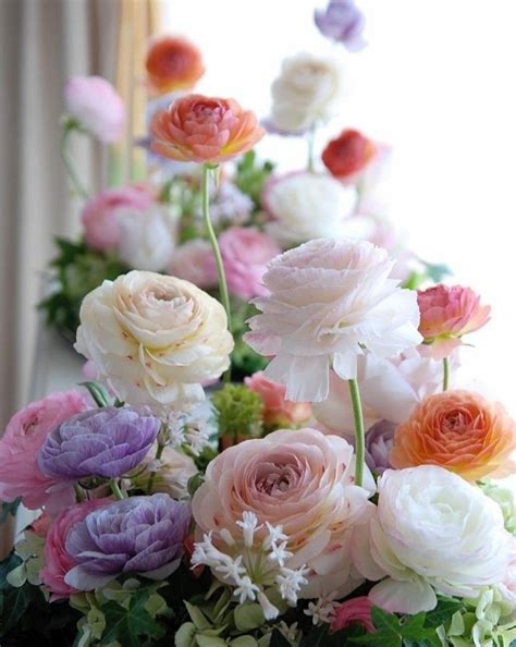 라넌큘러스 꽃말 키우기 라난큘러스 꽃다발 부케 구근식물 종류 네이버 블로그